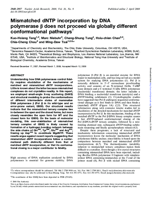 (PDF) Mismatched dNTP incorporation by DNA polymerase β does not ...