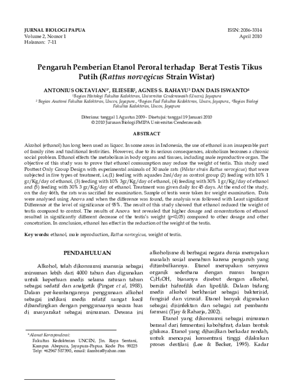 (PDF) Pengaruh Pemberian Etanol Peroral terhadap Berat Testis Tikus ...
