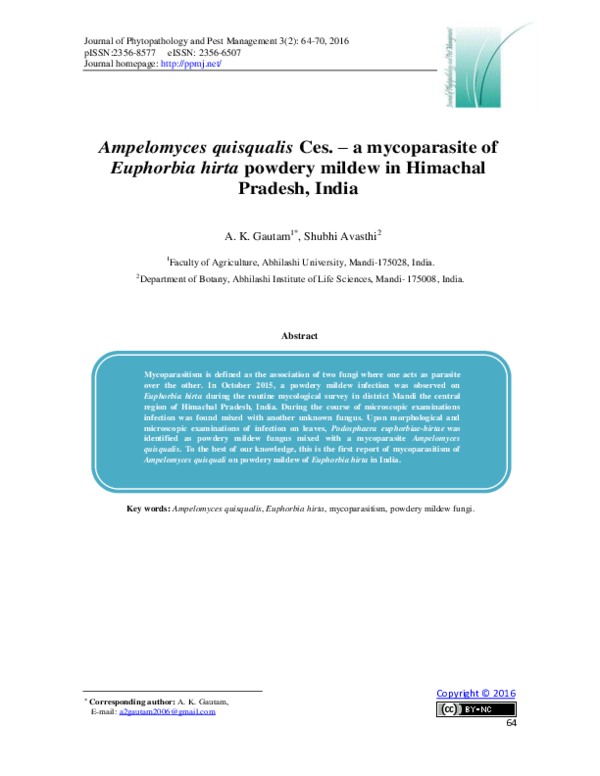 (PDF) Ampelomyces quisqualis Ces. – a mycoparasite of Euphorbia hirta ...