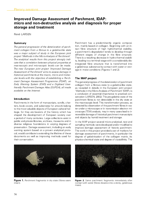 (PDF) Improved Damage Assessment of Parchment, IDAP: micro and non ...