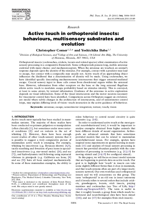 (PDF) Active touch in orthopteroid insects: behaviours, multisensory ...