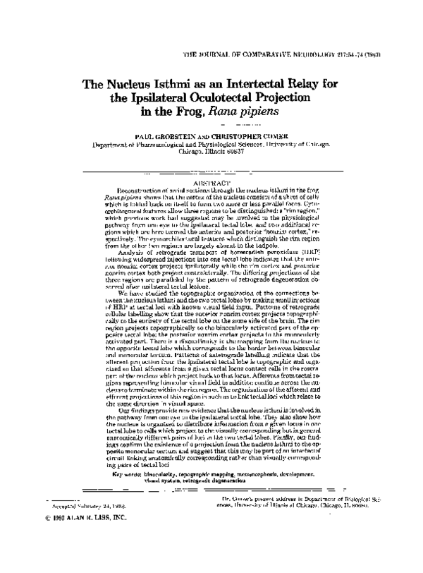 (PDF) The nucleus isthmi as an intertectal relay for the ipsilateral ...