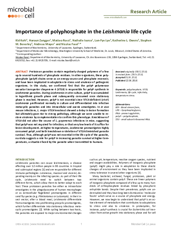 (PDF) Importance of polyphosphate in the Leishmania life cycle