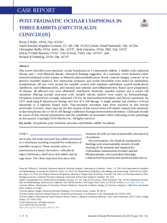(PDF) Post-Traumatic Ocular Lymphoma in Three Rabbits (Oryctolagus ...