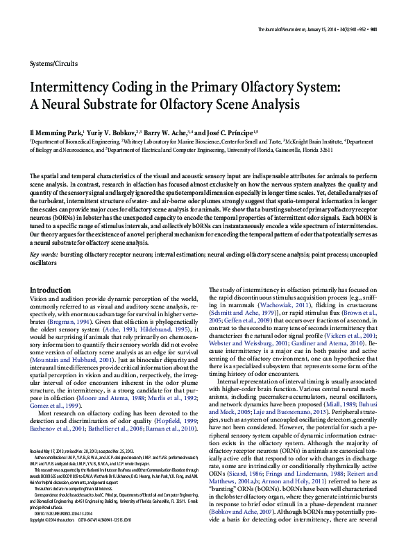 (PDF) Intermittency Coding in the Primary Olfactory System: A Neural Substrate for Olfactory ...