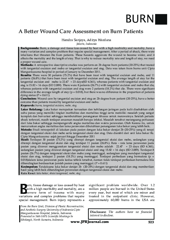 (PDF) A Better Wound Care Assessment on Burn Patients