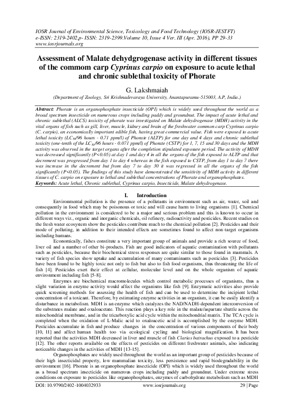 (PDF) Assessment of Malate dehydgrogenase activity in different tissues of the commom carp ...