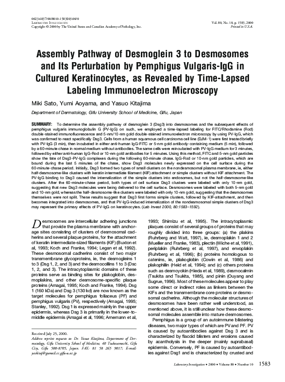 (PDF) Assembly Pathway of Desmoglein 3 to Desmosomes and Its ...