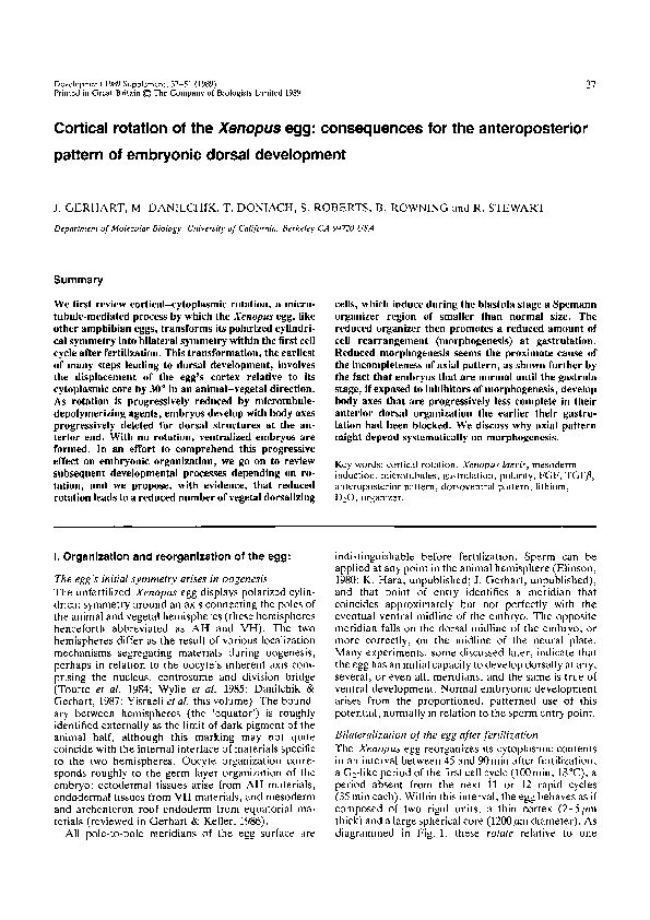 (PDF) Cortical rotation of the Xenopus egg: consequences for the ...