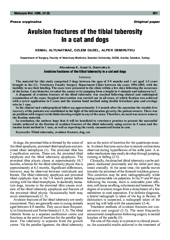 (PDF) Avulsion fractures of the tibial tuberosity in a cat and dogs ...