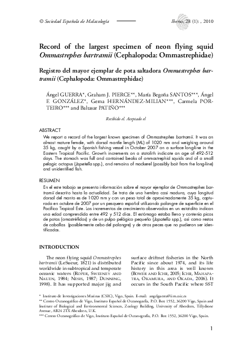 (PDF) Record of the largest specimen of neon flying squid Ommastrephes ...