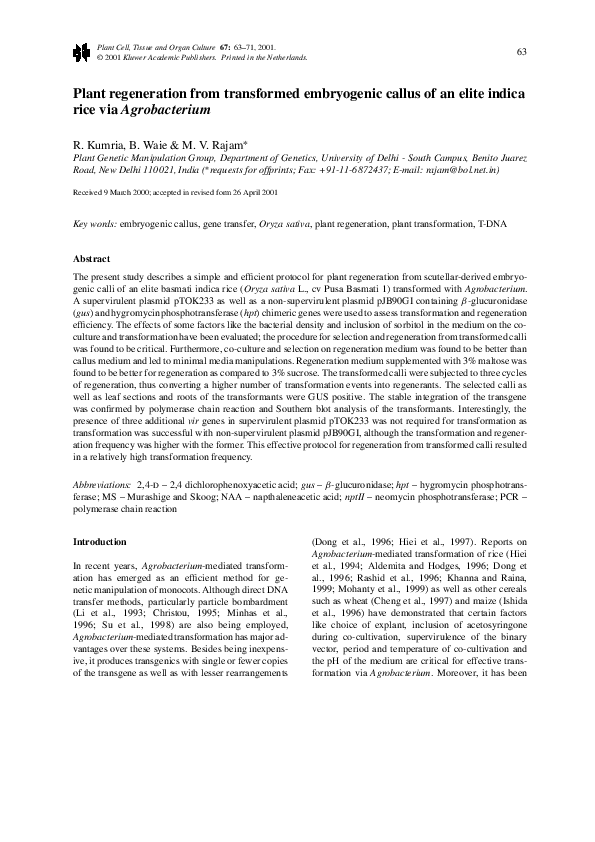 (PDF) Plant regeneration from transformed embryogenic callus of an ...