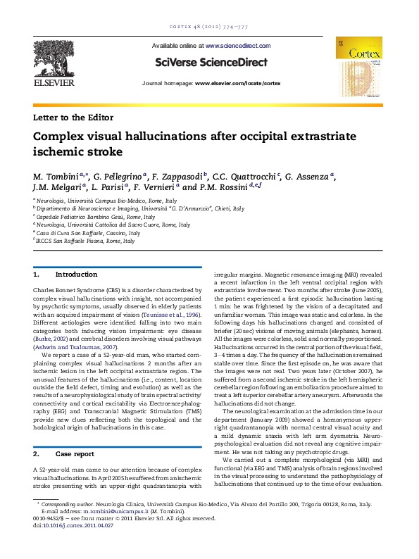 (PDF) Complex visual hallucinations after occipital extrastriate ...