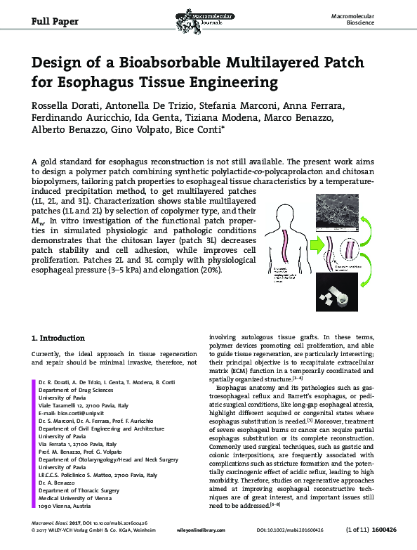 (PDF) Design of a Bioabsorbable Multilayered Patch for Esophagus Tissue ...