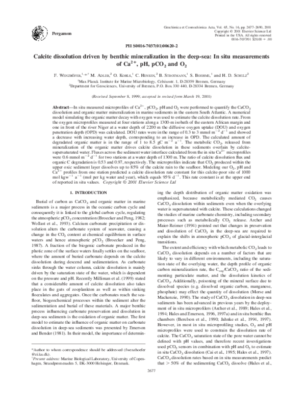 (PDF) Calcite dissolution driven by benthic mineralization in the deep ...