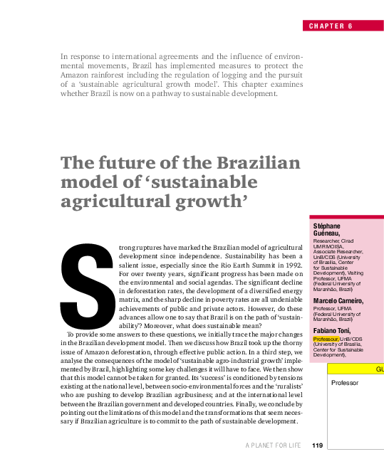 (PDF) The future of the Brazilian model of "sustainable agricultural growth