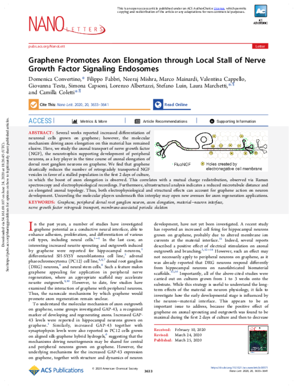 (PDF) Graphene Promotes Axon Elongation through Local Stall of Nerve ...