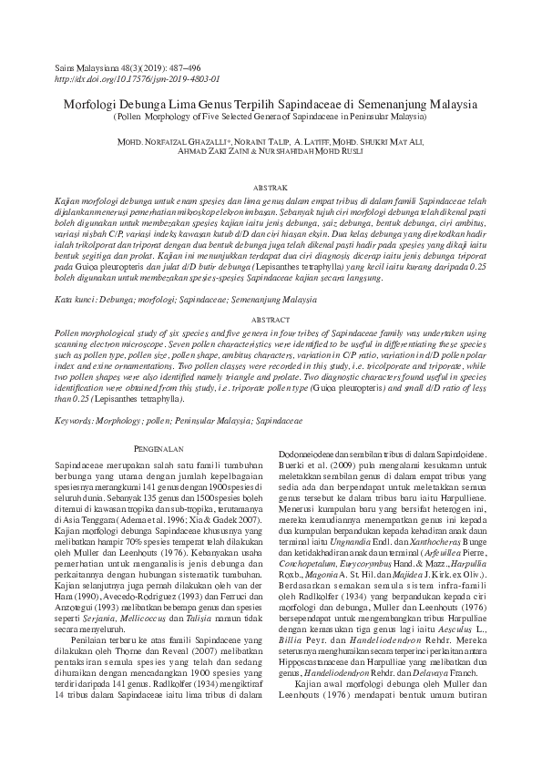 (PDF) Morfologi Debunga Lima Genus Terpilih Sapindaceae di Semenanjung ...
