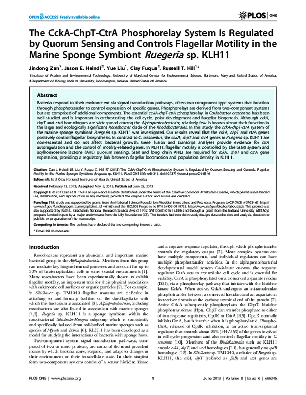 (PDF) The CckA-ChpT-CtrA Phosphorelay System Is Regulated by Quorum ...