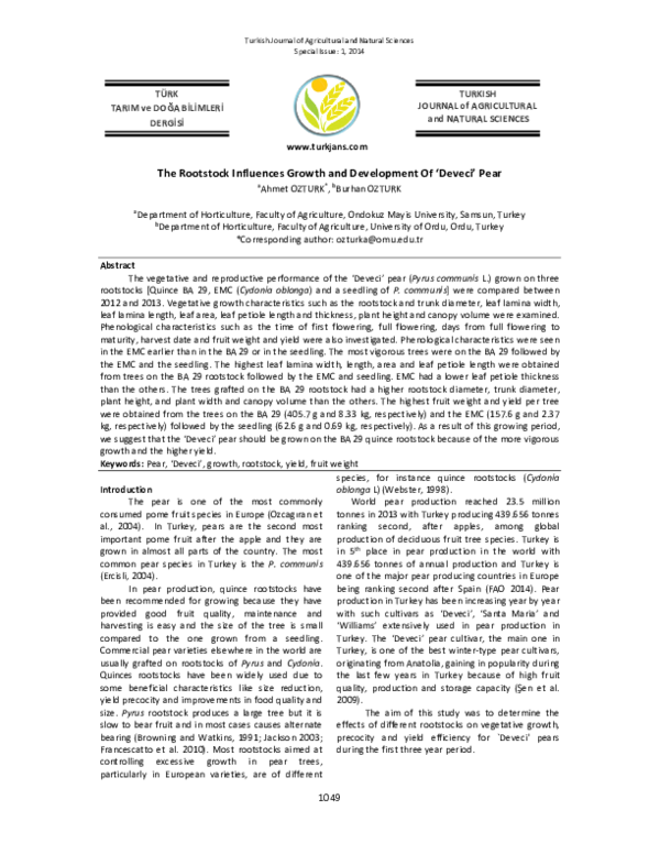 (PDF) The Rootstock Influences Growth and Development Of ‘Deveci’ Pear