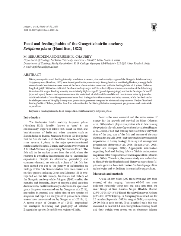(PDF) Food and feeding habits of the Gangetic hairfin anchovy Setipinna ...