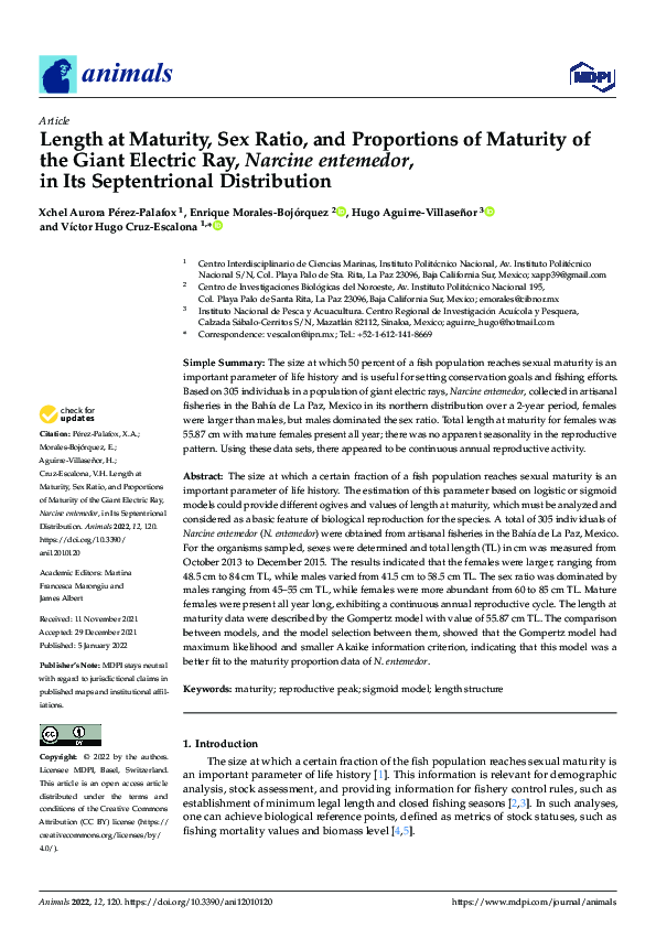 (PDF) Length at Maturity, Sex Ratio, and Proportions of Maturity of the ...