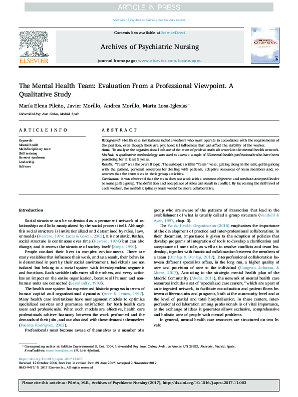 (PDF) The Mental Health Team: Evaluation From a Professional Viewpoint ...
