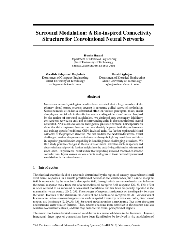 (PDF) Surround Modulation: A Bio-inspired Connectivity Structure for Convolutional Neural Networks