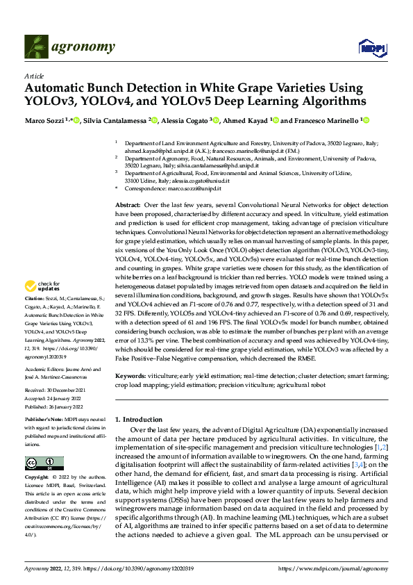 (PDF) Automatic Bunch Detection in White Grape Varieties Using YOLOv3, YOLOv4, and YOLOv5 Deep ...