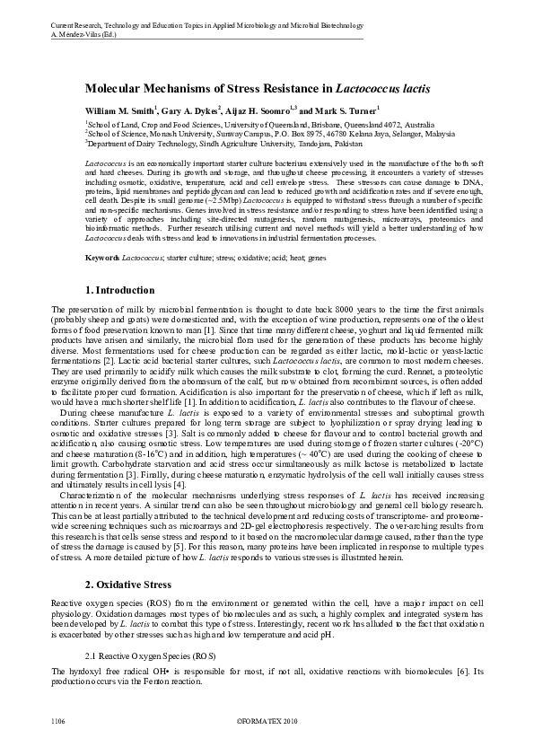 (PDF) Molecular Mechanisms of Stress Resistance in Lactococcus lactis