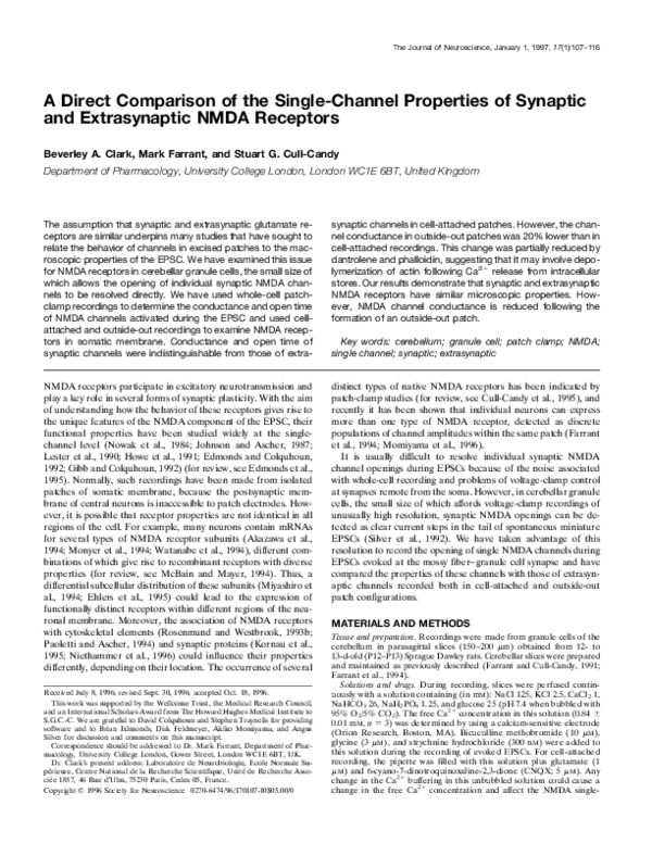 (PDF) A Direct Comparison of the Single-Channel Properties of Synaptic