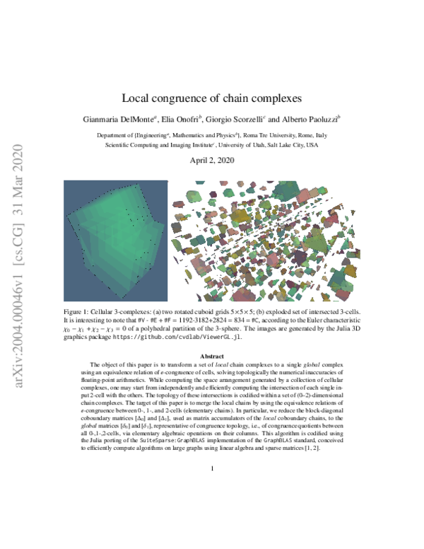 (PDF) Local congruence of chain complexes