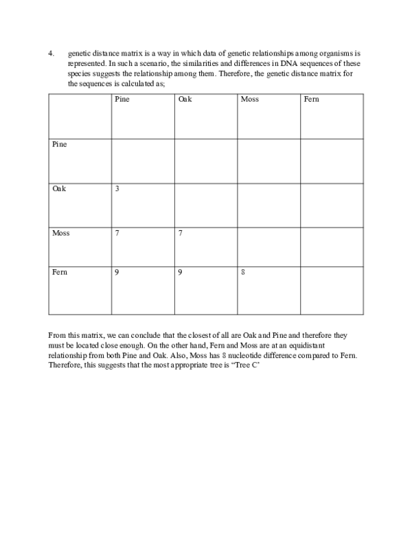 (DOC) DNA sequence matrix