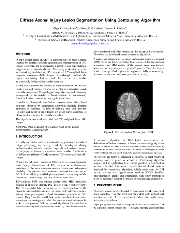 (PDF) Diffuse Axonal Injury Lesion Segmentation Using Contouring Algorithm