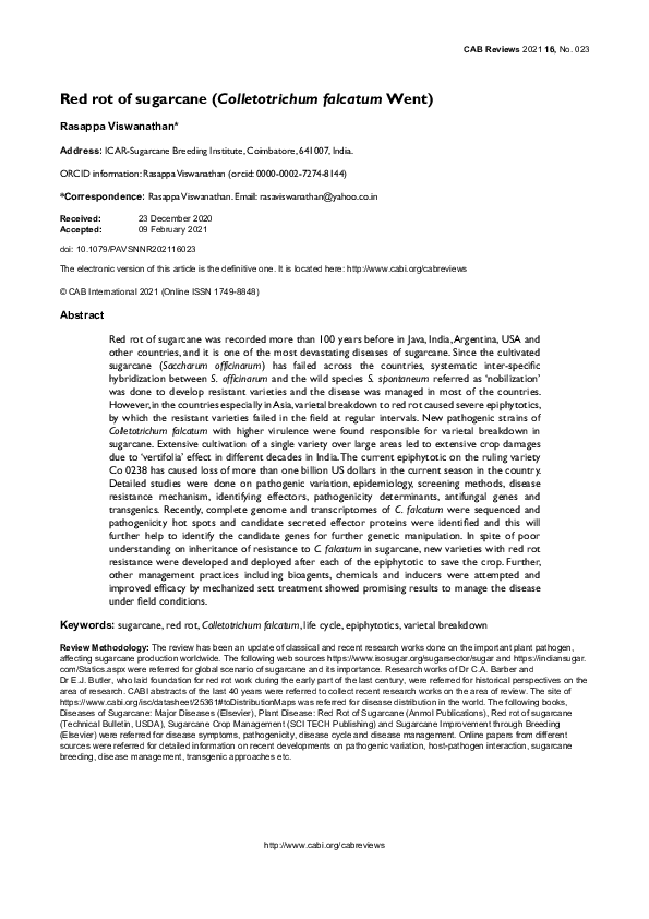 (PDF) Red rot of sugarcane (Colletotrichum falcatum Went)