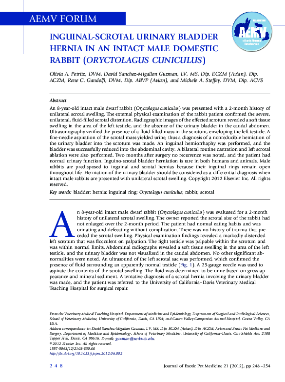 (PDF) Inguinal-Scrotal Urinary Bladder Hernia in an Intact Male ...