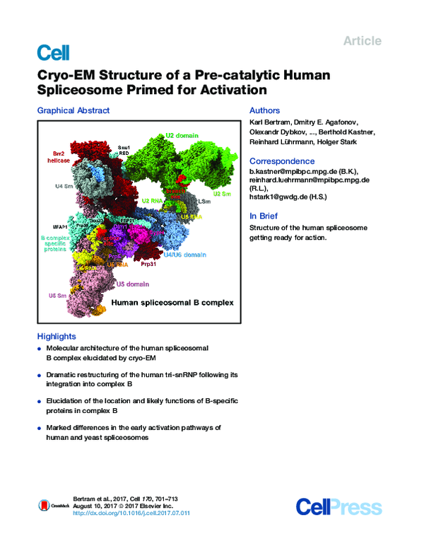 (PDF) Cryo-EM Structure of a Pre-catalytic Human Spliceosome Primed for ...
