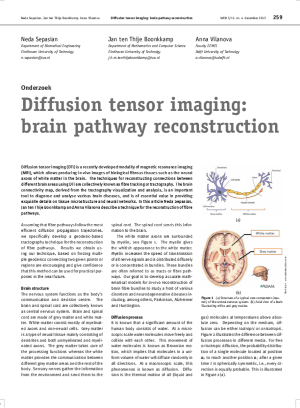 (PDF) Diffusion tensor imaging : brain pathway reconstruction