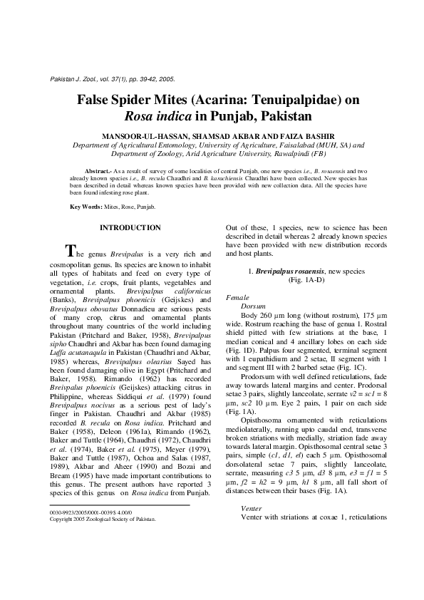 (PDF) False spider mites (Acarina: Tenuipalpidae) on Rosa indica in ...