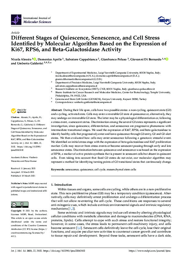(PDF) Different Stages of Quiescence, Senescence, and Cell Stress ...