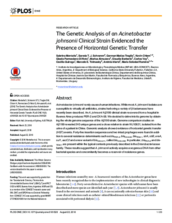 (PDF) The Genetic Analysis of an Acinetobacter johnsonii Clinical ...