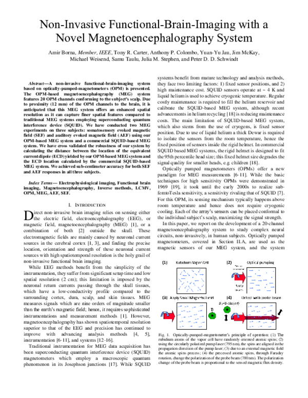 (PDF) Non-Invasive Functional-Brain-Imaging with a Novel ...