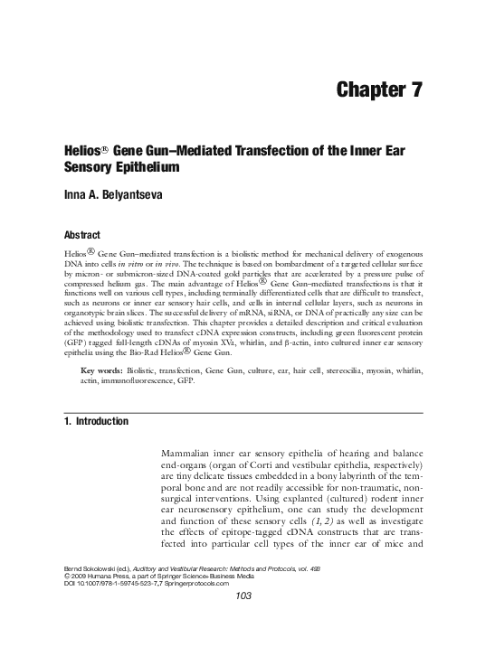 (PDF) Helios Gene Gun-mediated transfection of the inner ear sensory ...