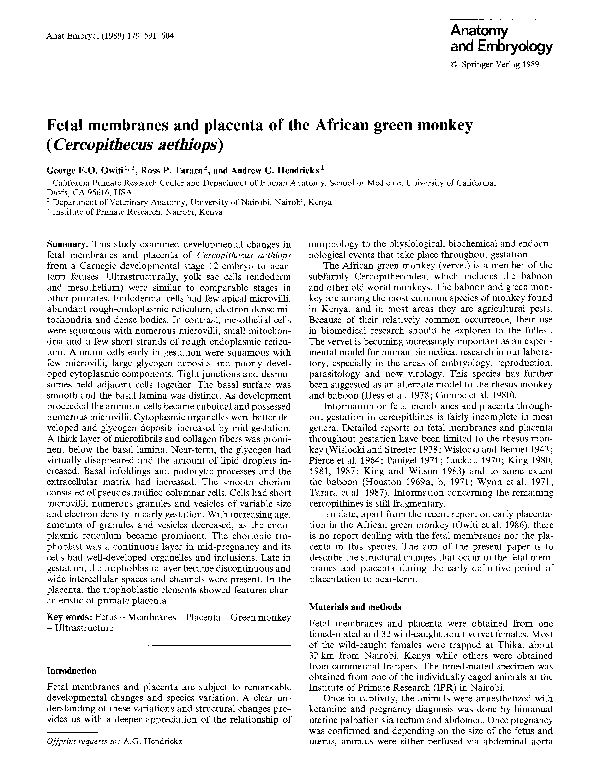 (PDF) Fetal membranes and placenta of the african green monkey ...