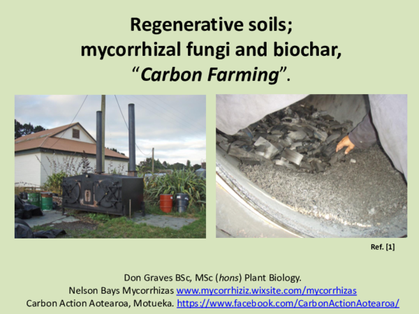 (PDF) Biochar as a renewable potting media, and microbial shelter and ...