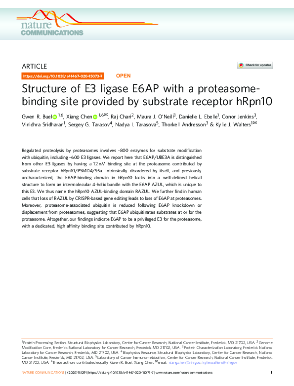 (PDF) Structure of E3 ligase E6AP with a proteasome-binding site ...