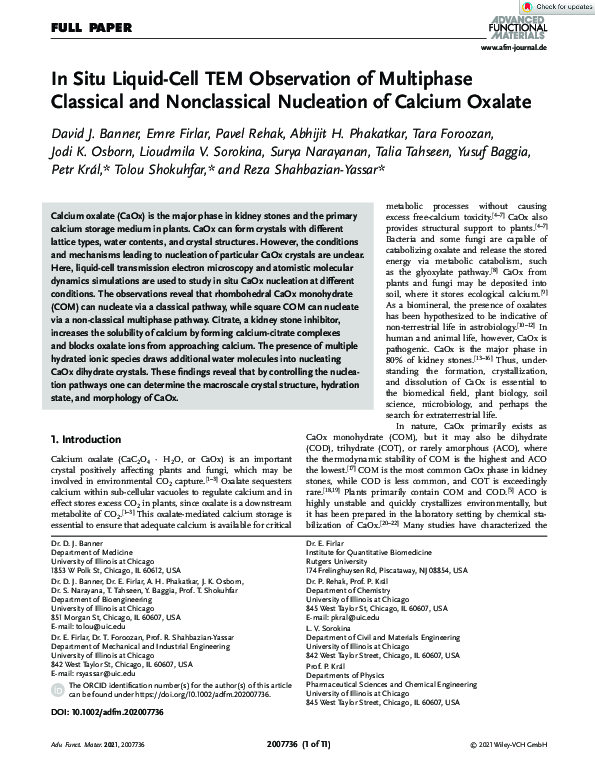 (PDF) In Situ Liquid‐Cell TEM Observation of Multiphase Classical and ...