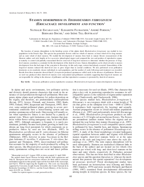 (PDF) Stamen Dimorphism in R Hododendron Ferrugineum ( Ericaceae ...