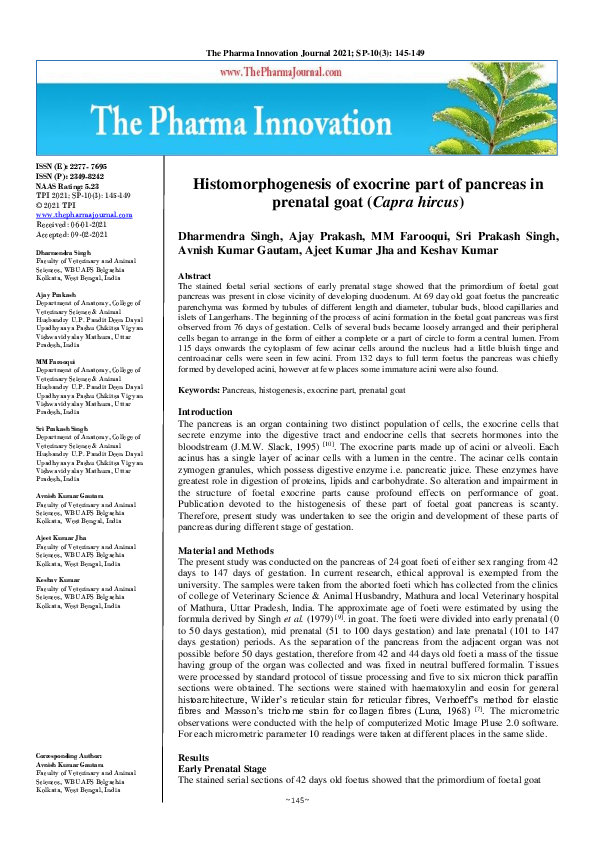 (PDF) Histomorphogenesis of exocrine part of pancreas in prenatal goat ...