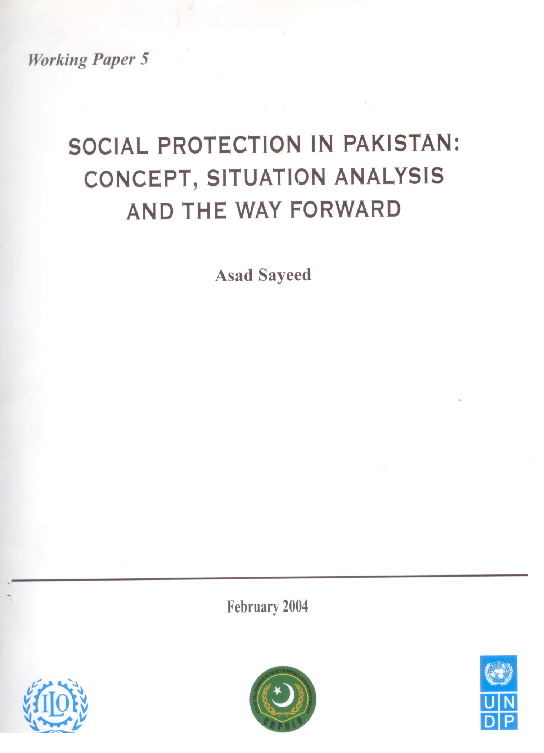(PDF) Social Protection in Pakistan: Concept, Situation Analysis and ...